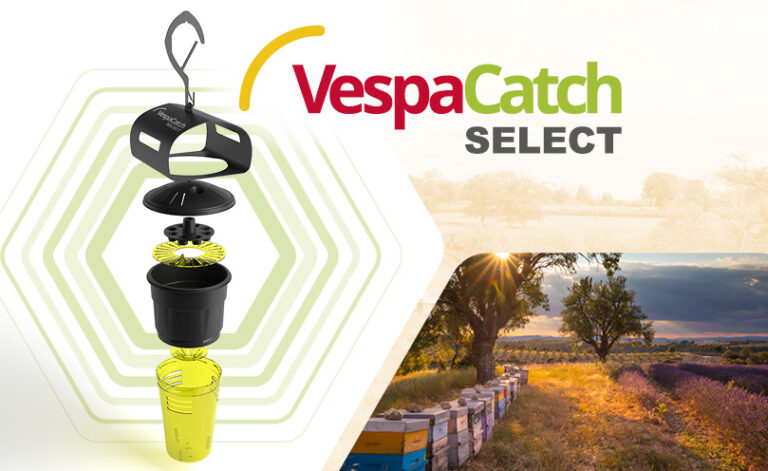 VespaCatch Select: Selective trap to capture Asian Hornets