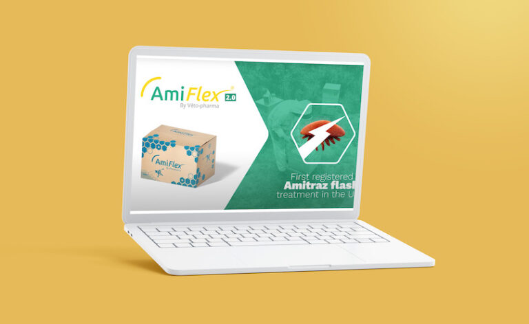 Amiflex / Amiflex 2.0, amitraz Flash varroa treatment in the USA
